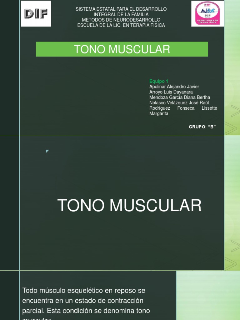 Tono Muscular Presentacion | PDF | Músculo | Neurona