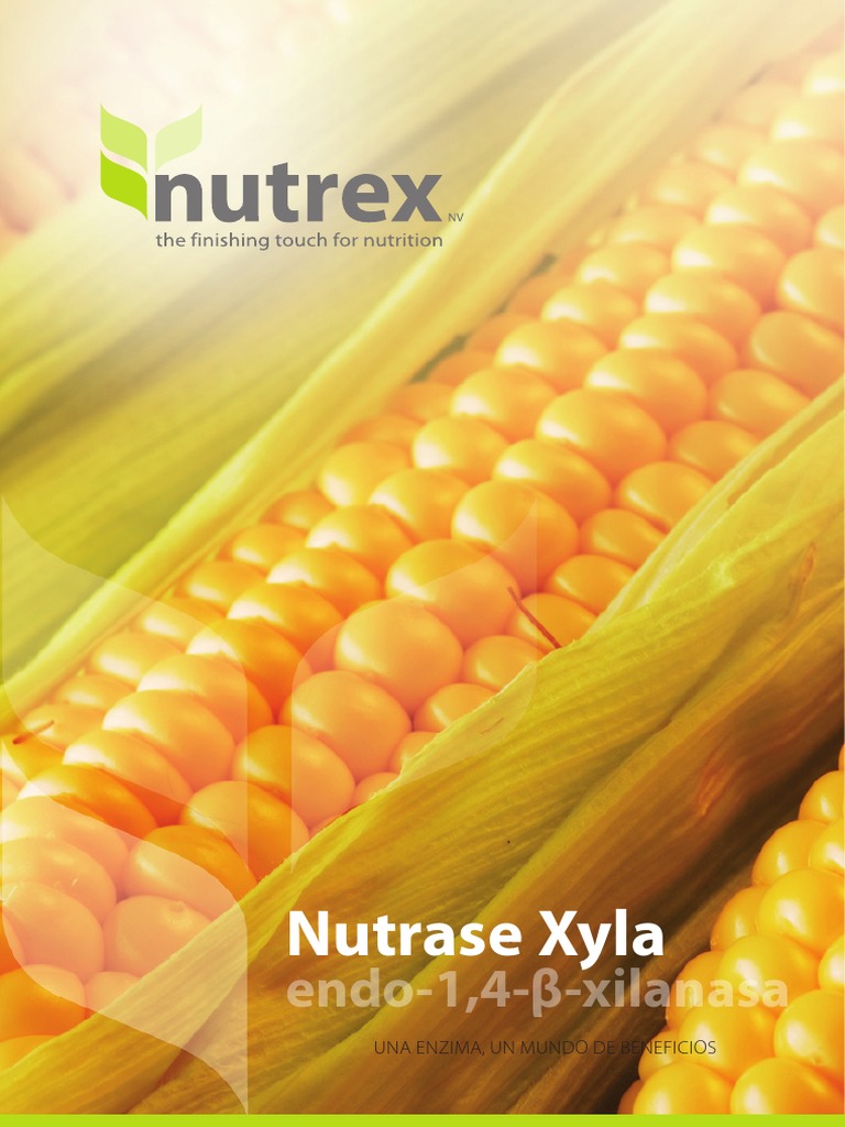 Nutrase Xyla 8p SP Email | PDF | Enzima | Nutrientes