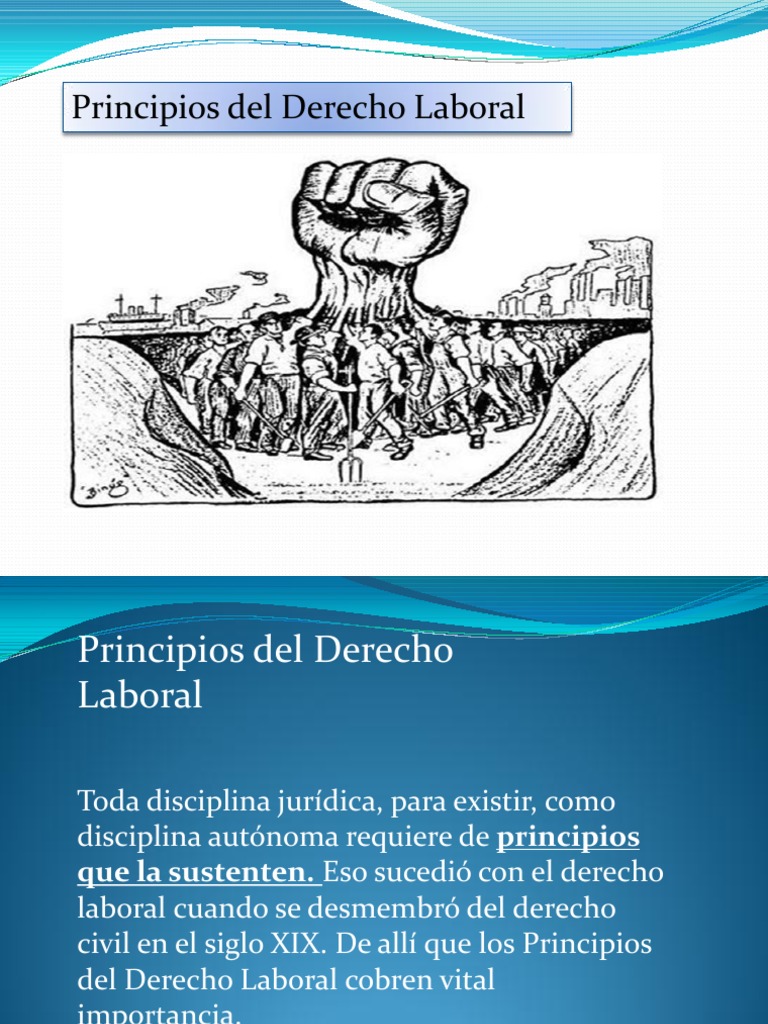 Principios Del Derecho Laboral Pdf 5 Derecho Laboral Instituciones