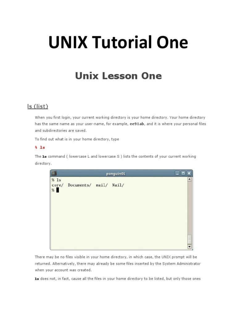 Exploring The Unix File System An Introduction To Common Commands For Navigating Viewing And