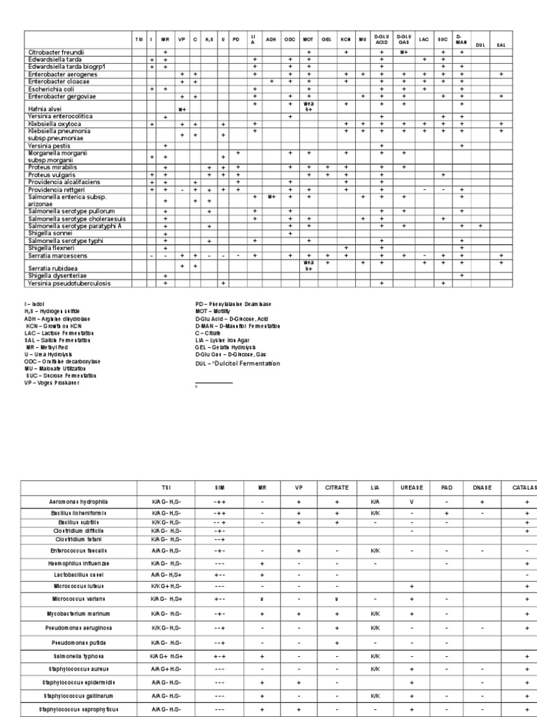 TABLE Microbial ID 11 | PDF | Gram Negative Bacteria | Microbiology