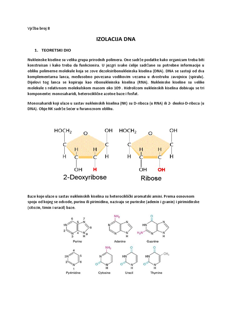 Izolacija DNA | PDF