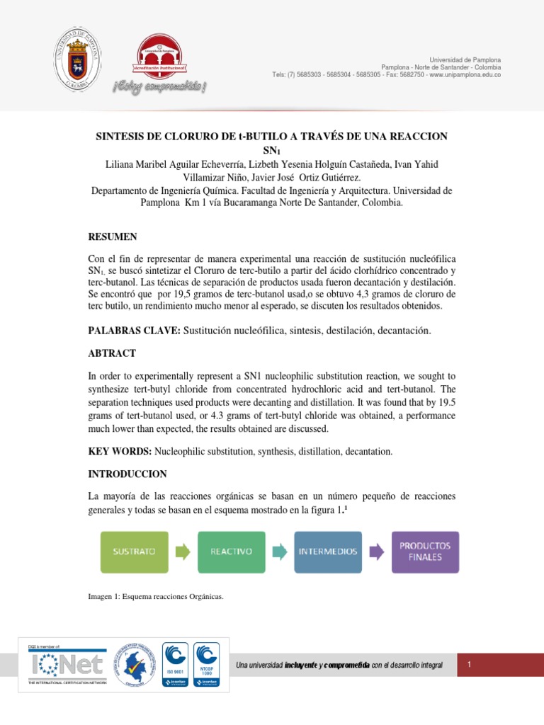 Informe Sintesis Cloruro de Ter-Butilo | PDF | Radical (Química ...