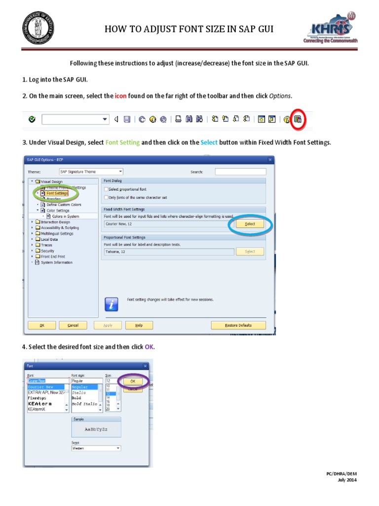 Sap Gui Font Size | PDF | Career & Growth | Computers