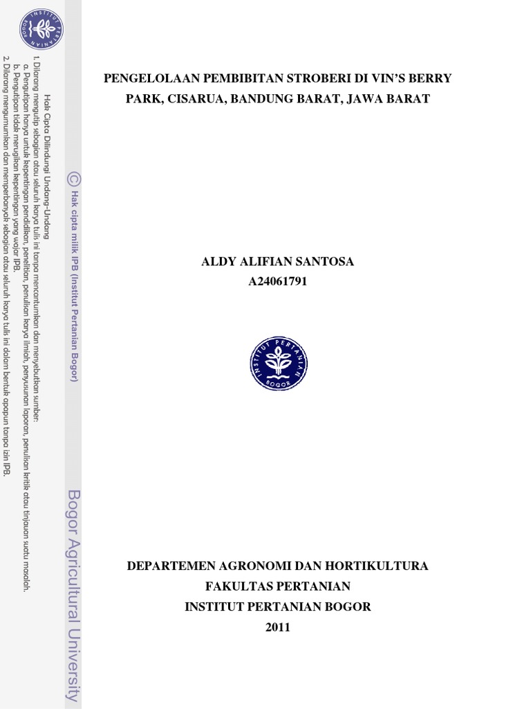 Artikel Petlap | PDF