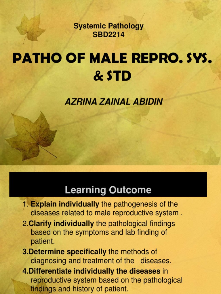 Patho of Male Repro. Sys. & STD: Azrina Zainal Abidin | PDF | Testicle ...