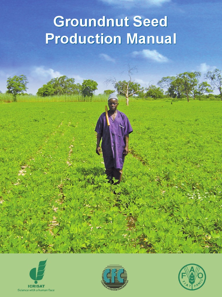 Groundnut Seed Production Manual | PDF | Sowing | Seed