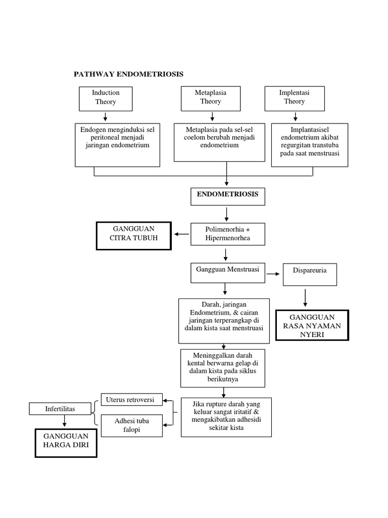 Woc Kista Endometrium | PDF