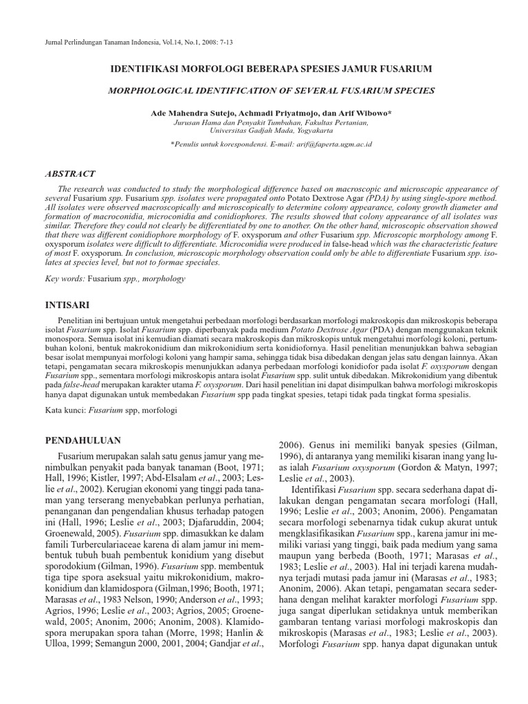 Morfologi Jamur Fusarium spp. Mikroskopis | PDF