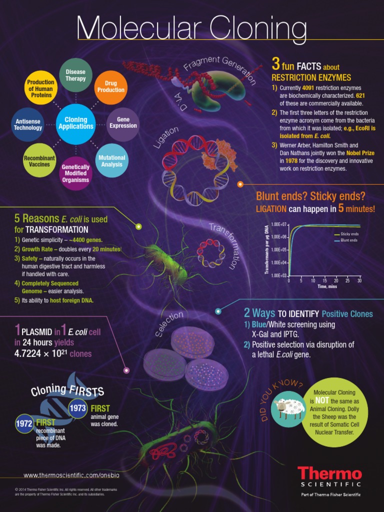 Cloning Inforgraphic F 1-14 v4 FINAL PDF | PDF | Molecular Cloning ...
