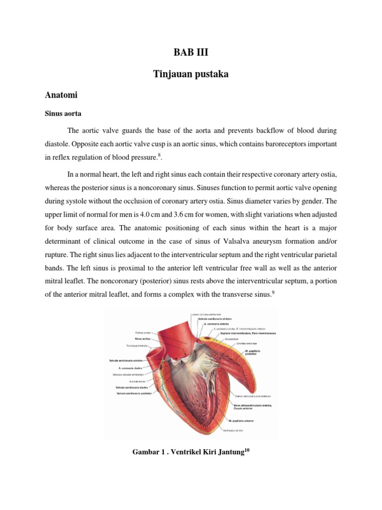 Anatomy, Definitions, Etiology, Epidemiology, and Pathophysiology of ...