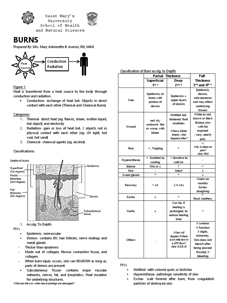 BURNS Module | PDF | Burn | Skin