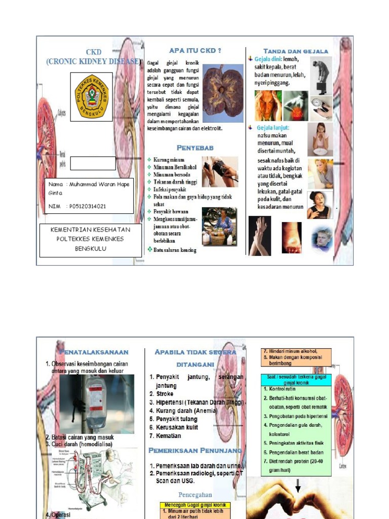 Leaflet CKD | PDF