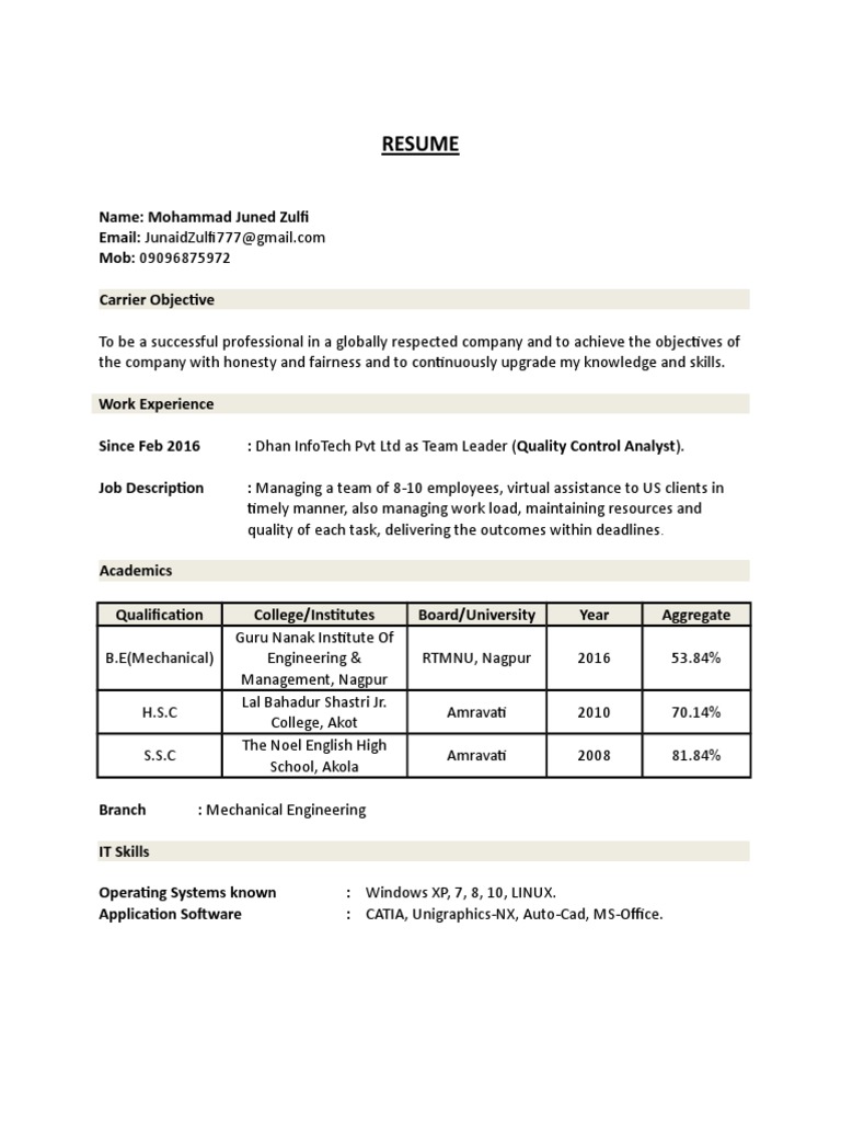 CV | PDF | Computing | Software
