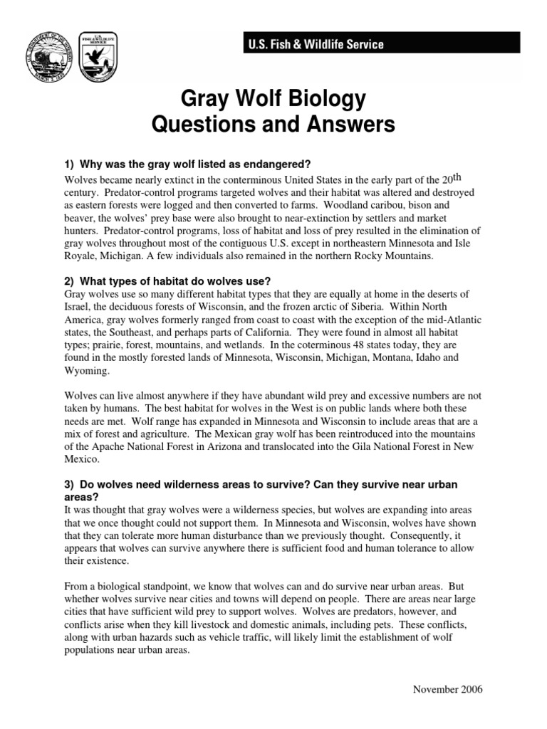 Gray Wolf Biology: Key Facts and Insights | PDF | Gray Wolf | Pack (Canine)