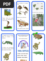 Clasificación y características de reptiles | PDF | Reptil | Zoología