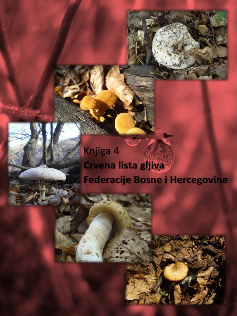 Crvena Lista Gljiva FBiH PDF | PDF