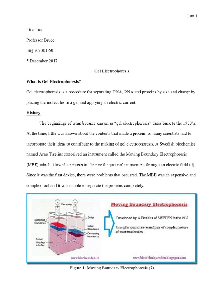 Gel Electrophoresis | PDF | Gel Electrophoresis | Agarose Gel ...