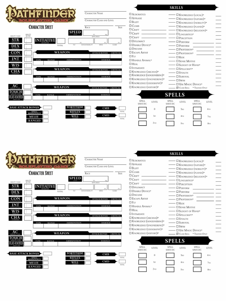 Half Sheet DoublePathfinder Character Sheet Half-Page | PDF