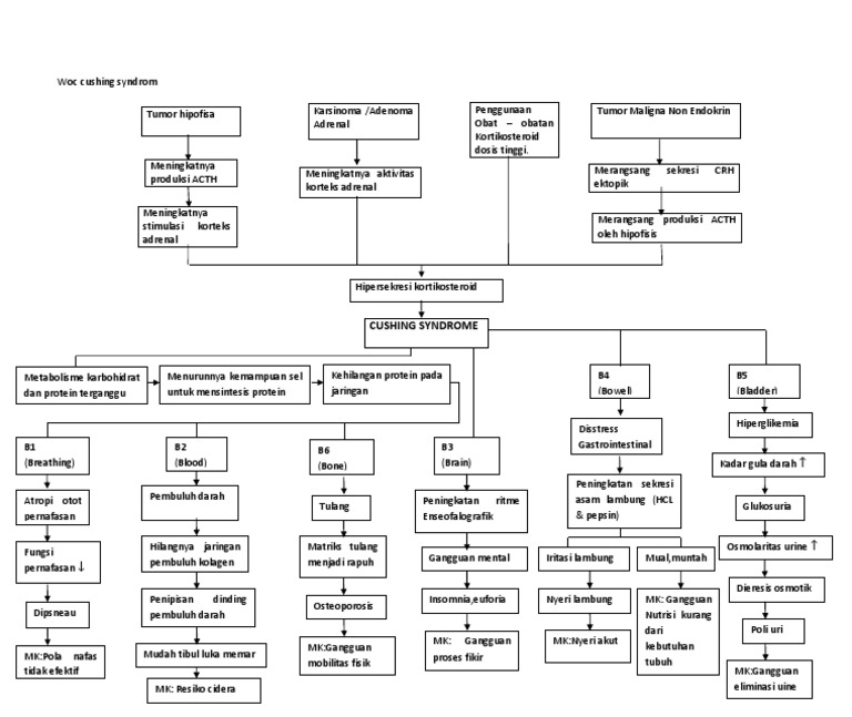 Woc Cushing Syndrom | PDF