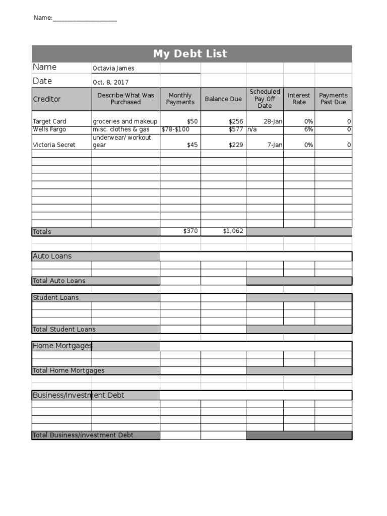 My Debt Overview and Payment Plan | PDF