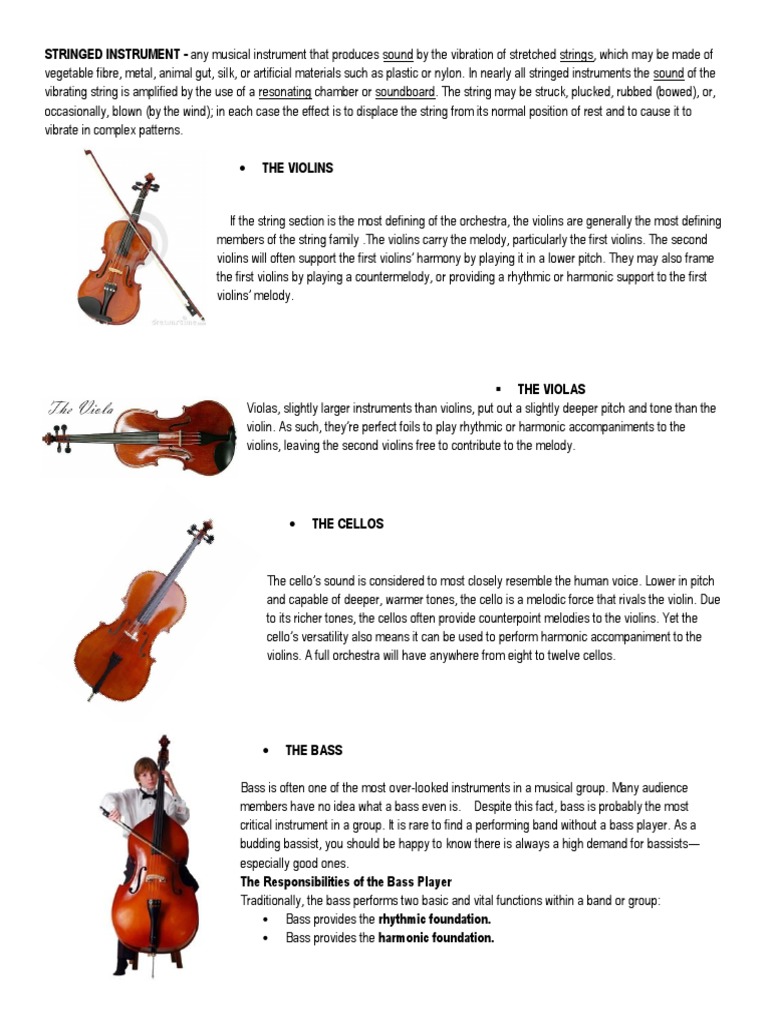 Musical Intruments | PDF | Violin | String Instruments