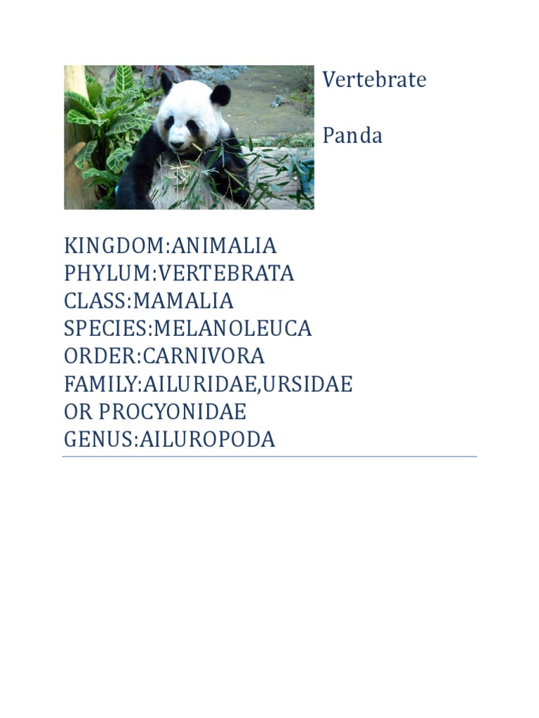 Panda Classification as Vertebrate | PDF | Wellness | Science & Mathematics