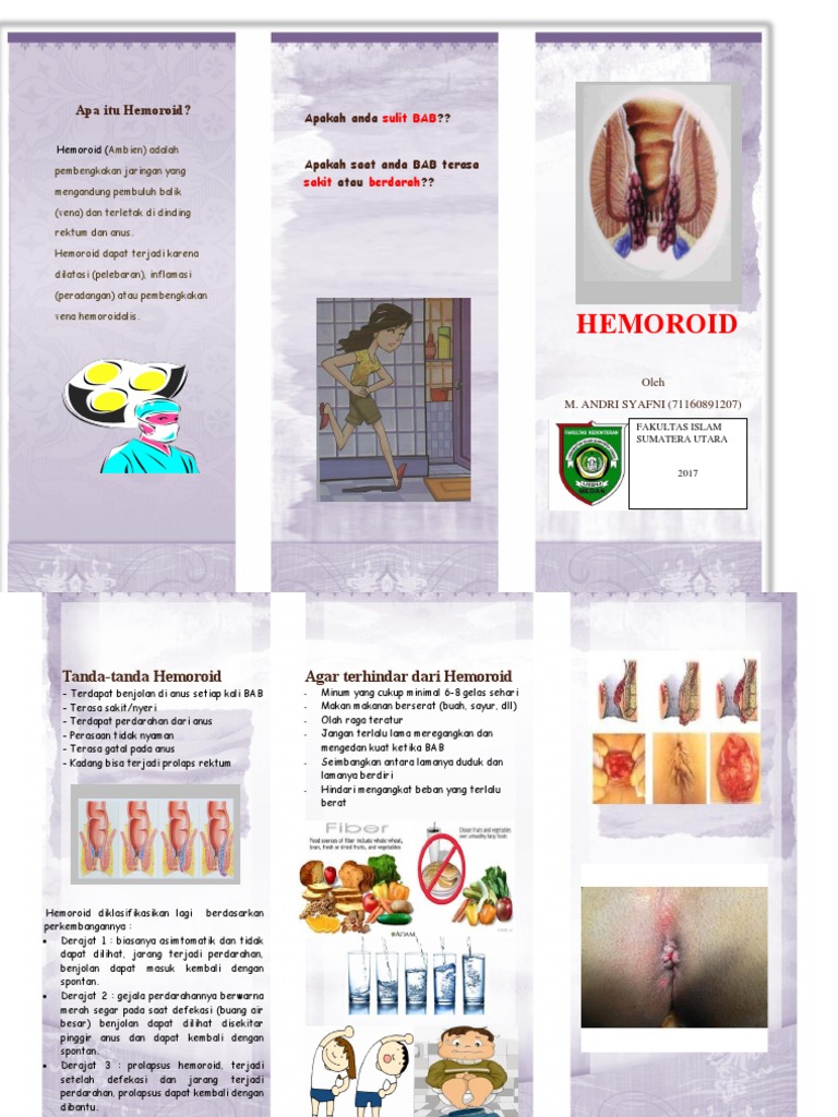 Leaflet Hemoroid Fix | PDF