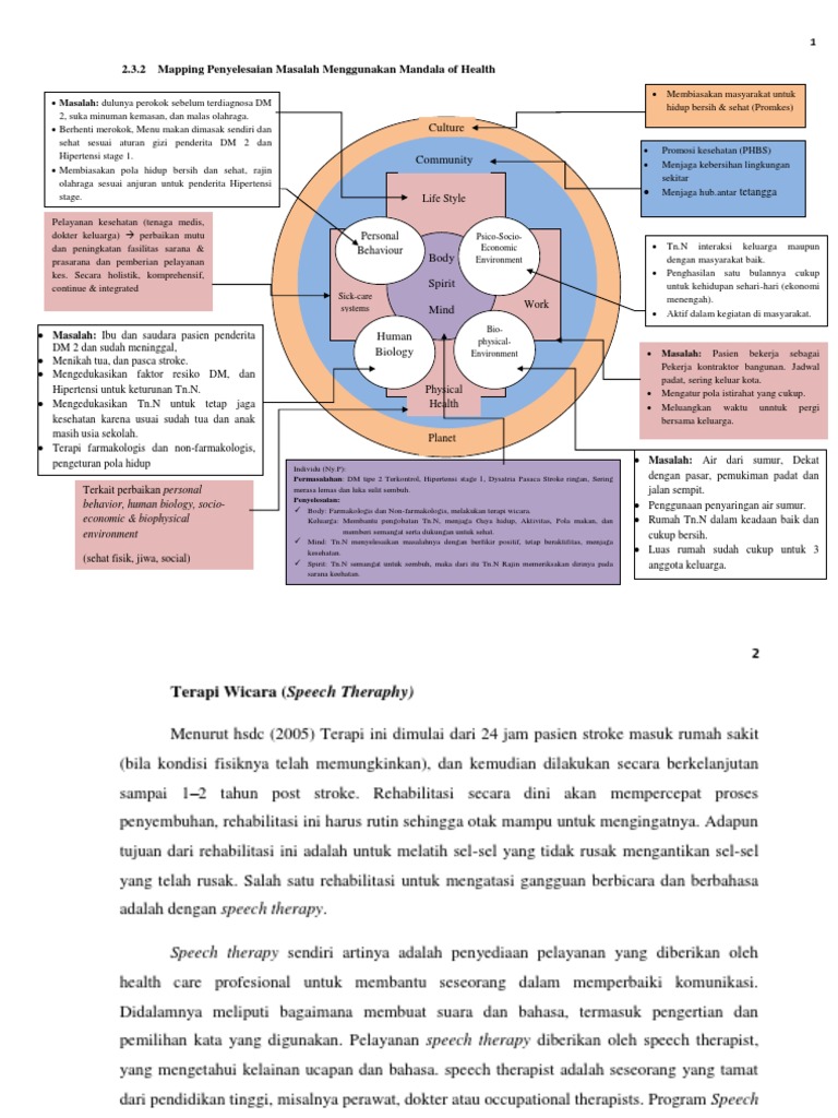 Mandala of Health | PDF