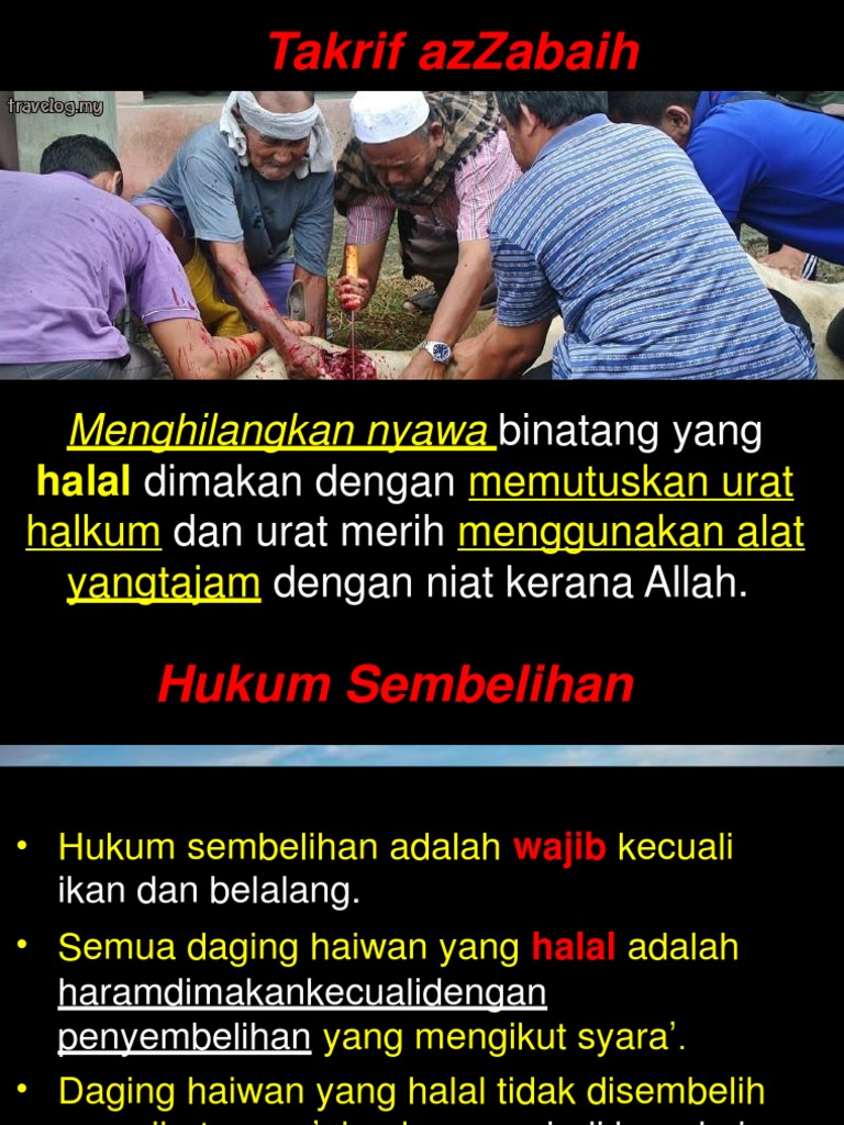 Kursus Sembelihan | PDF