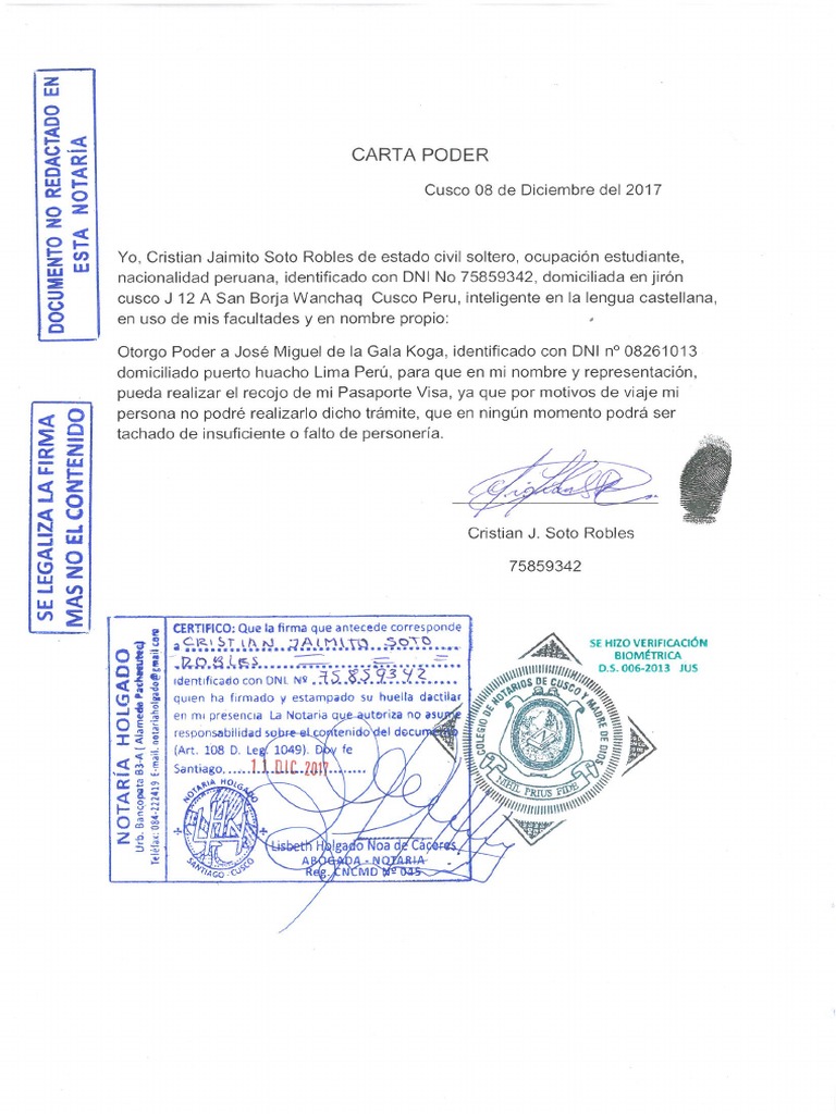 Carta Poder | PDF