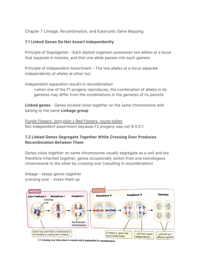 Linkage vs. Recombination Explained | PDF | Genetic Linkage | Genetic ...
