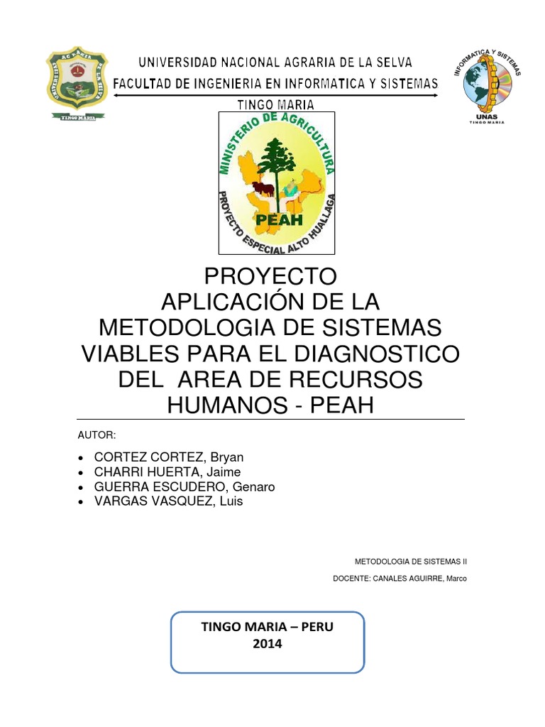 Proyecto MSV | PDF | Gestión de recursos humanos | Salario