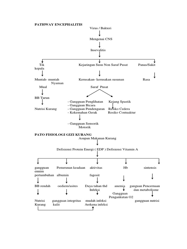 Pathway Encephalitis | PDF