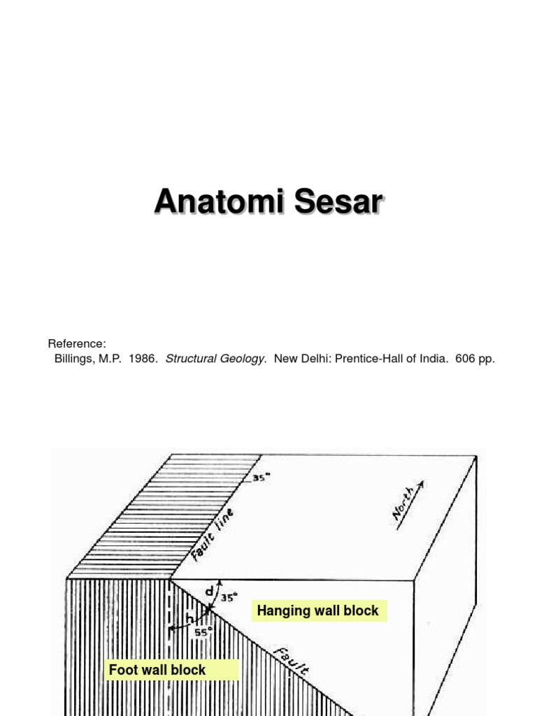 Sesar, Anatomi | PDF