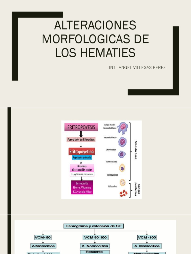 Alteraciones Morfologicas de Los Hematies | PDF
