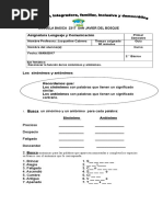 Prueba Sinónimos y Antónimos | PDF