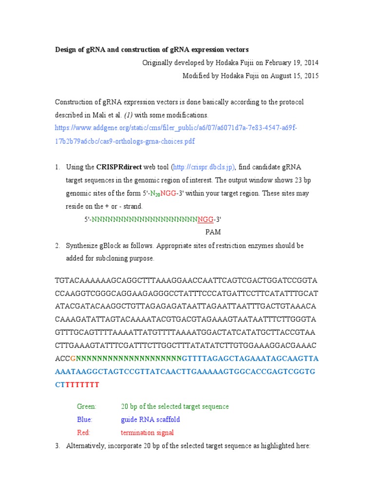 Design of gRNA and Construction of gRNA Expression Vectors ...