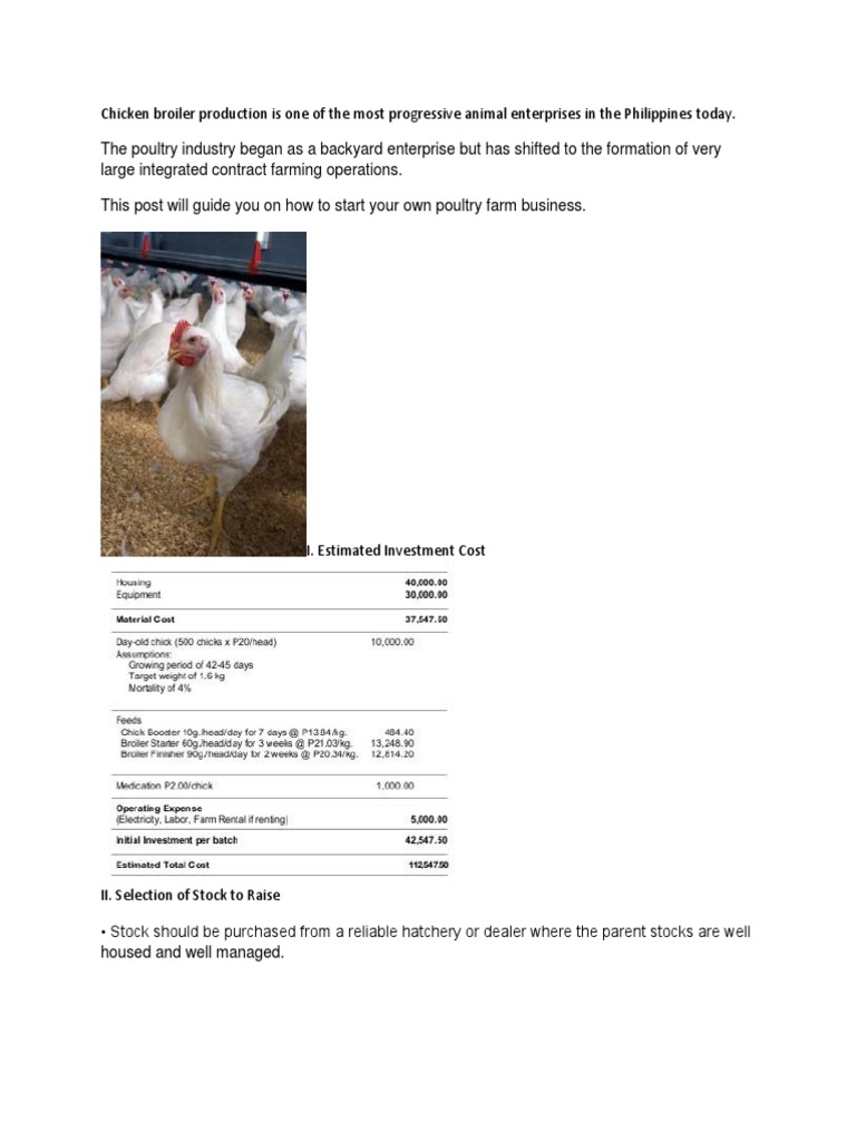 Chicken Farming (Broiler) | PDF | Poultry Farming | Livestock