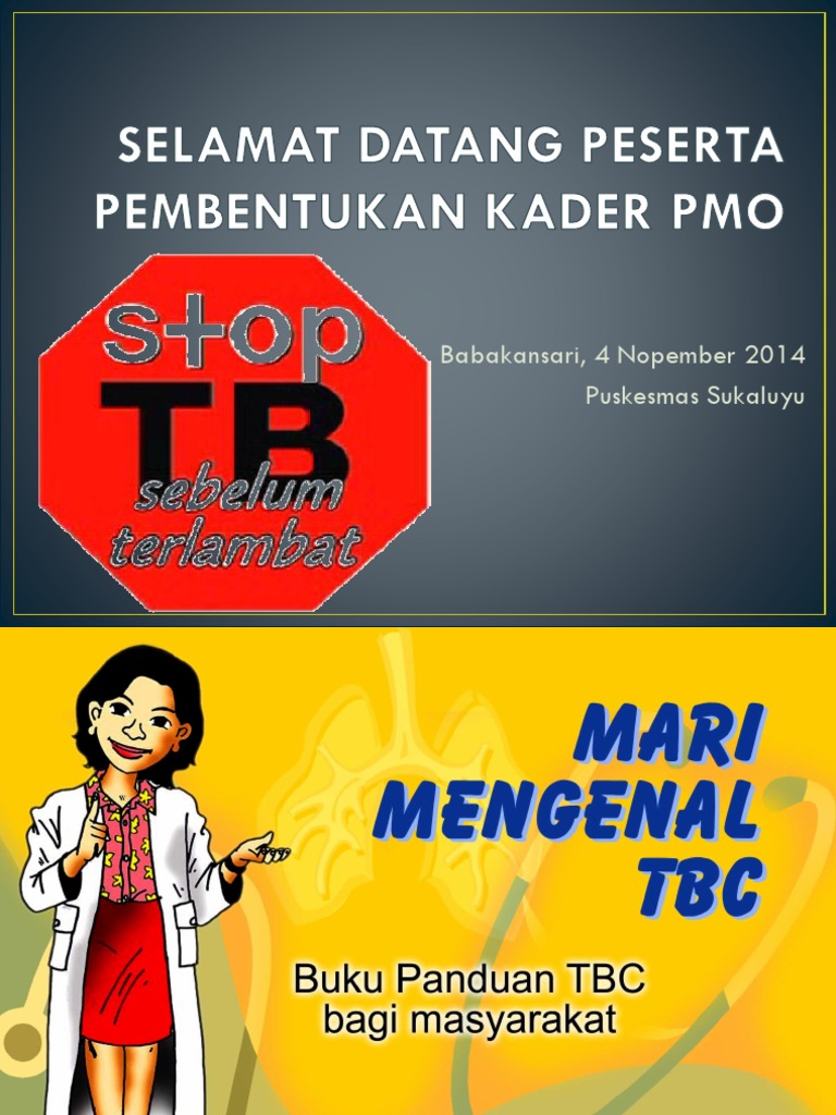 Panduan TB Bagi Masyarakat-Pmo | PDF