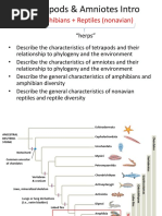 Animal Phylum Poster | PDF | Stomach | Skeleton