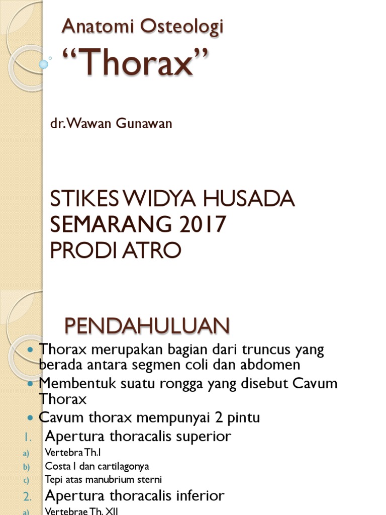 Anatomi Thorax | PDF