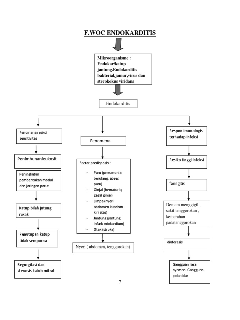 Endokarditis: Penyakit Infeksi yang Mengancam Jantung | PDF