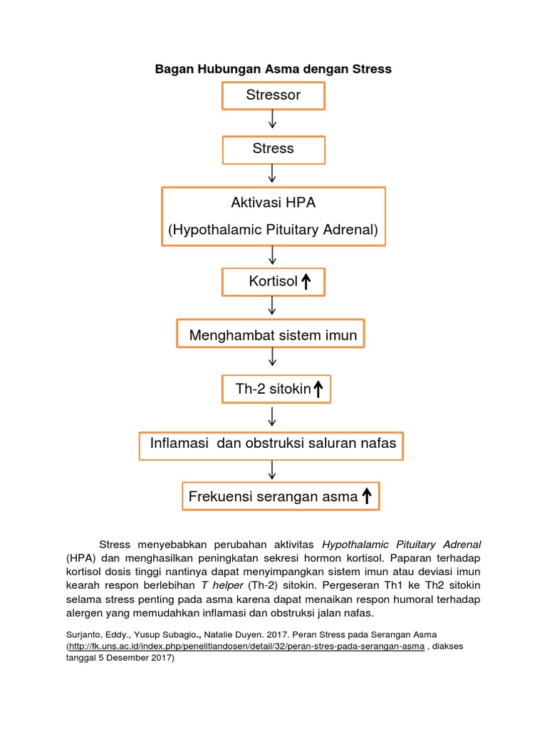 Bagan Hubungan Asma Dengan Stress | PDF