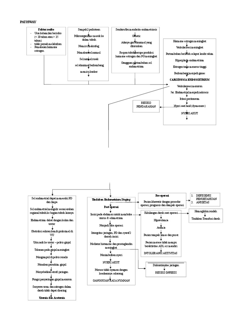 Pathway CA Endometrium | PDF