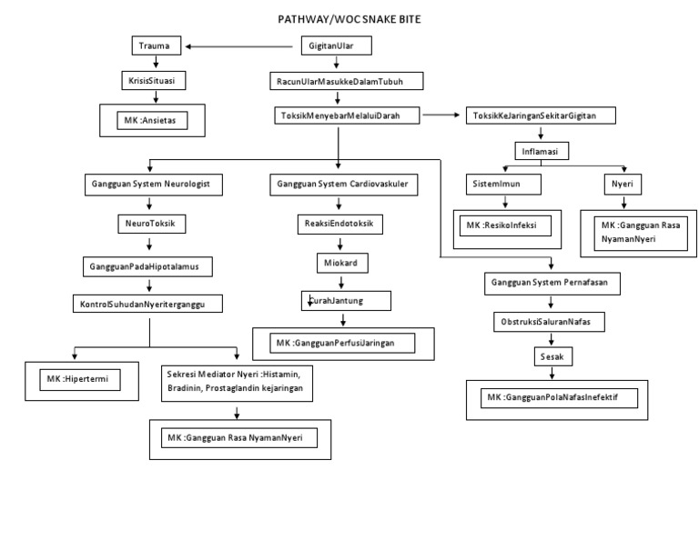 WOC Snake Bite | PDF
