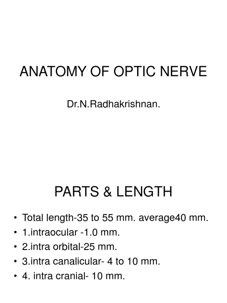 Anatomy of Optic Nerve | PDF