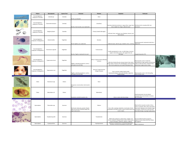Protozoa Summary Table | Immunology | Medical Specialties | Free 30-day ...