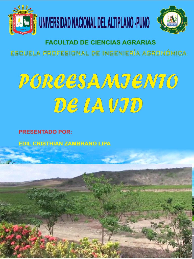 Procesamiento de La Uva.. | PDF | Vino | Levadura