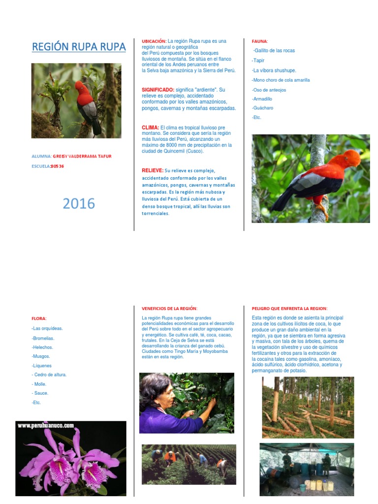 Región Rupa Rupa | PDF | Ciencias de la Tierra | Conservación